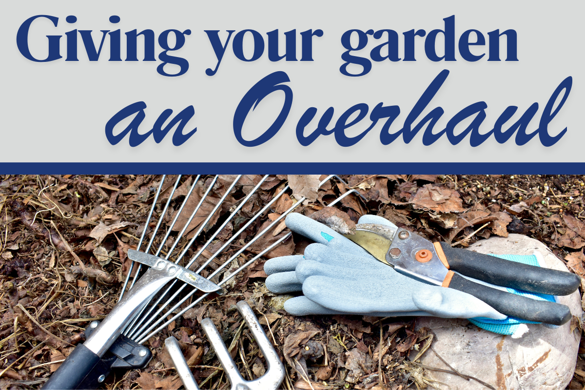 Giving your garden a facelift | Serving Jo Daviess, Stephenson and ...